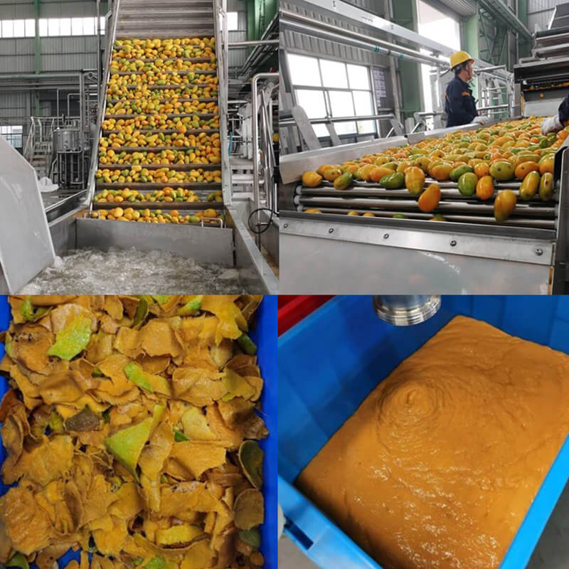 Fruits Products Processing line - IB Food Machinery